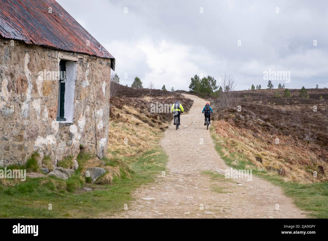 Ryvoan Bothy, Cairngorms National Park, Scotland Stock Photo - Alamy