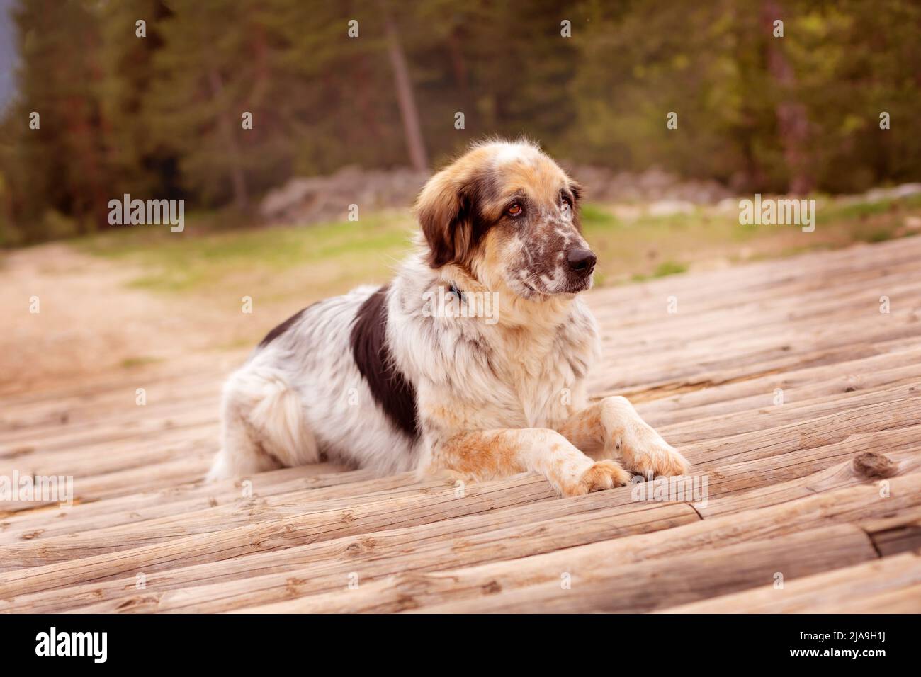 Low lying bridge hi-res stock photography and images - Alamy