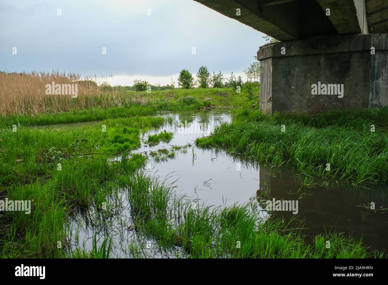 Landscape of a shallow river under a bridge Stock Photo - Alamy