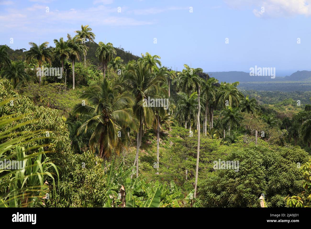 Baracoa cuba humboldt hi-res stock photography and images - Alamy