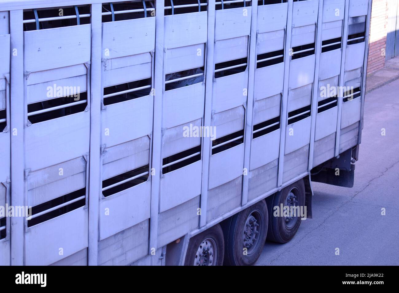 Live animal shipment hi-res stock photography and images - Alamy