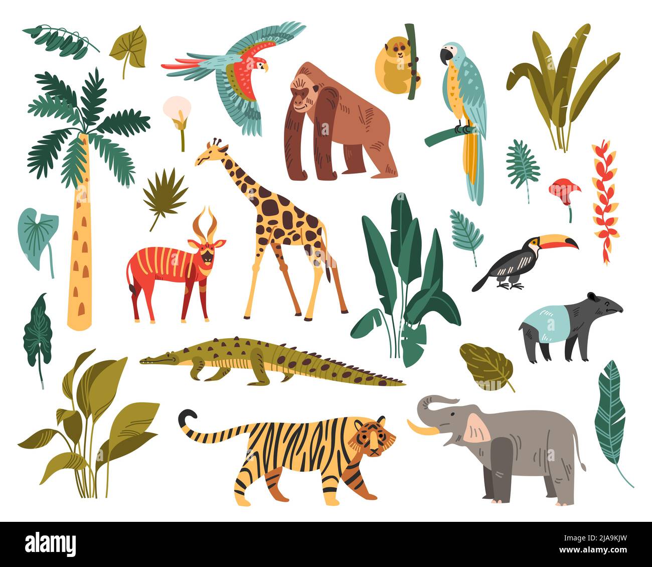 African flora tropical plants Stock Vector Images - Alamy