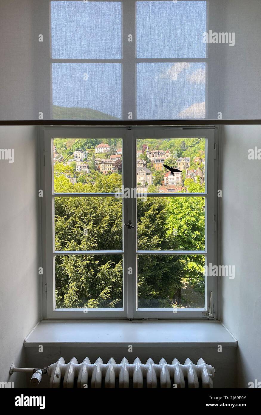 Window Heidelberg, Germany, view on the old town and Philosophenweg ...