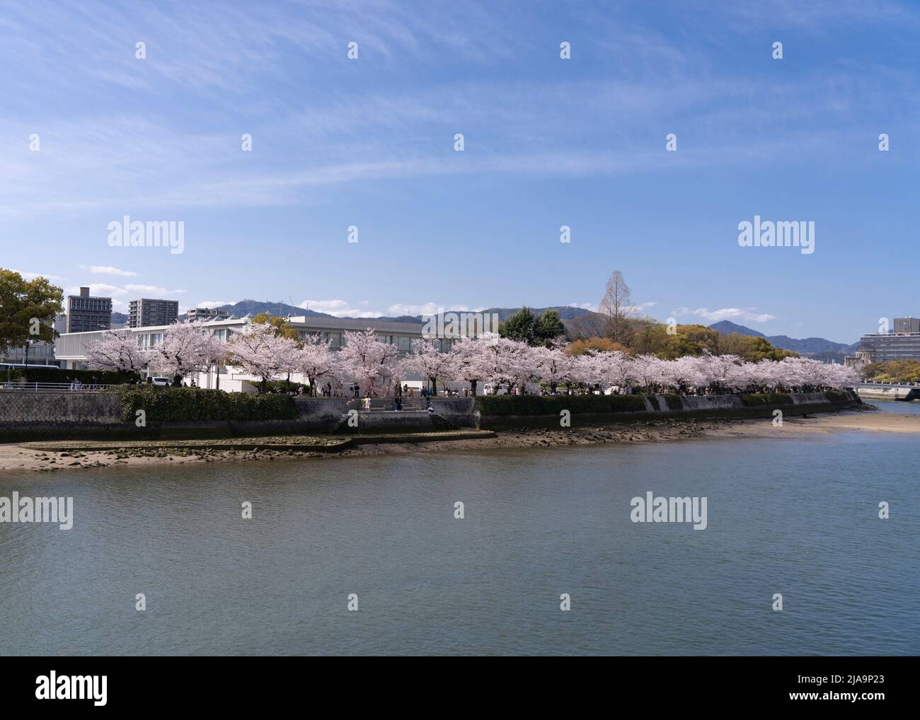 Motoyasu-gawa River, cherry blossom, and the Hiroshima Peace Memorial ...