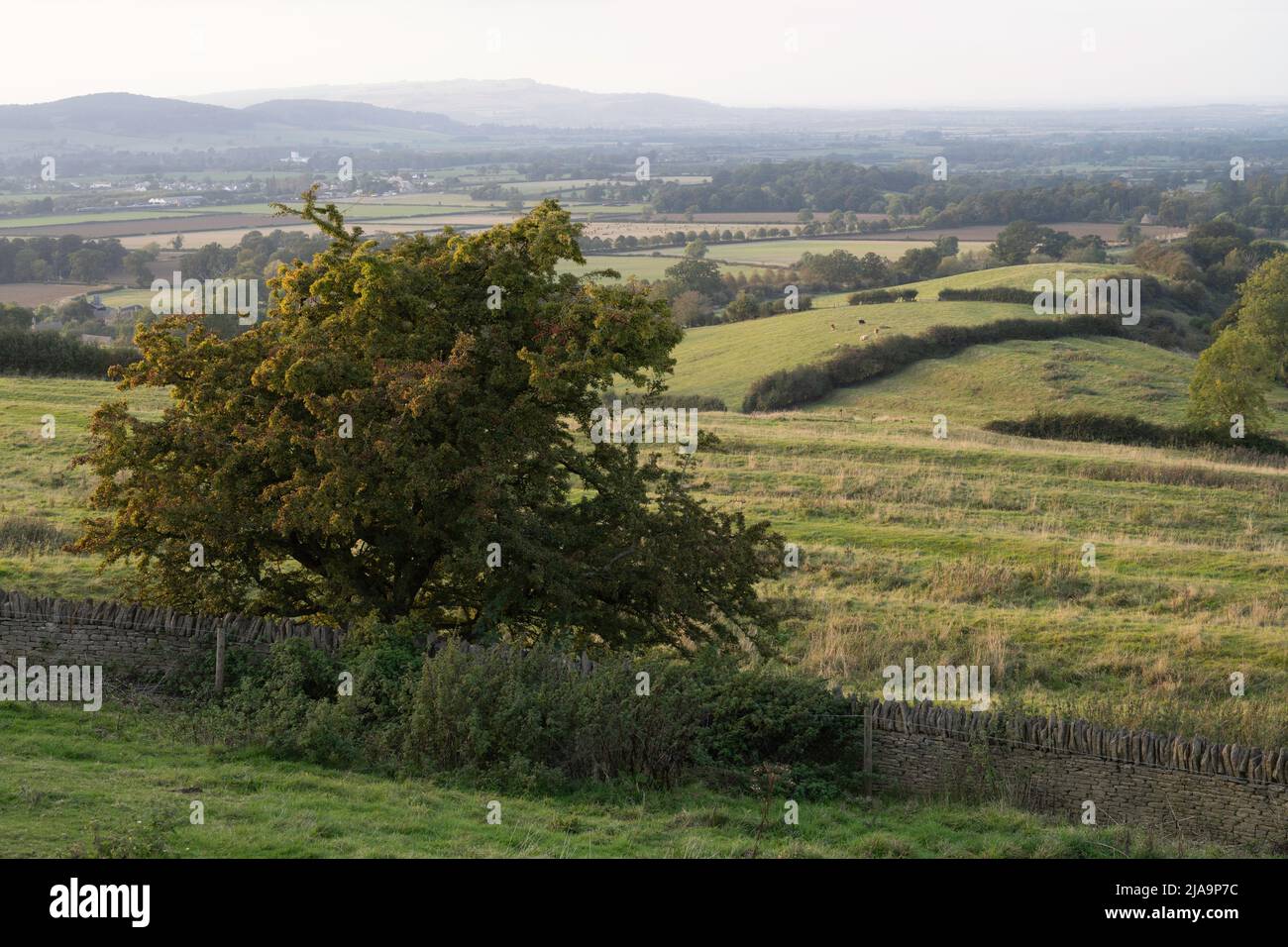 Countryside at Lower Coscombe, Cotswolds, Gloucestershire, England ...
