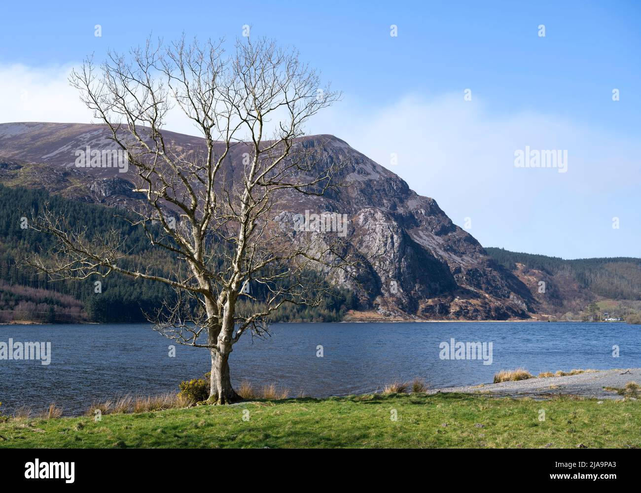 Llyn Cwellyn, Snowdonia National Park, Gwynedd, North Wales, UK Stock ...