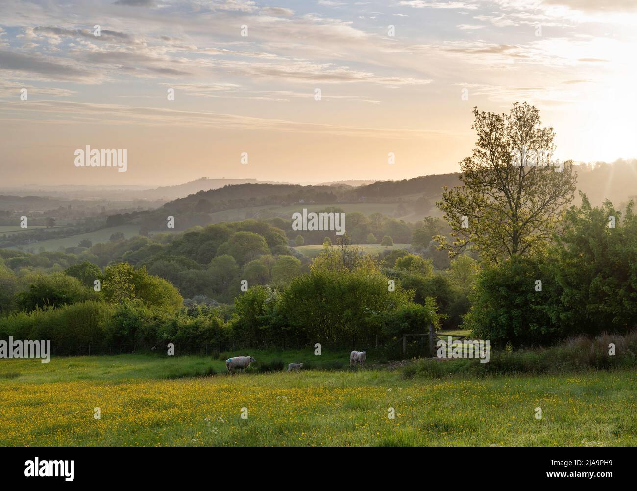 North Cotswolds near Chipping Campden at dawn, England Stock Photo - Alamy