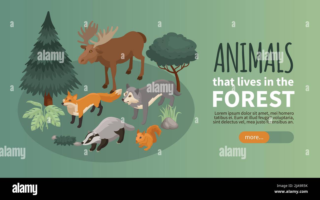 Isometric forest animal horizontal banner with animals and plants on ...