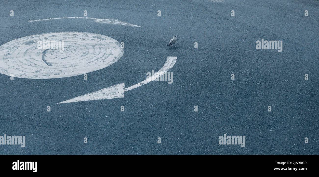 Uk mini roundabout sign hi-res stock photography and images - Alamy