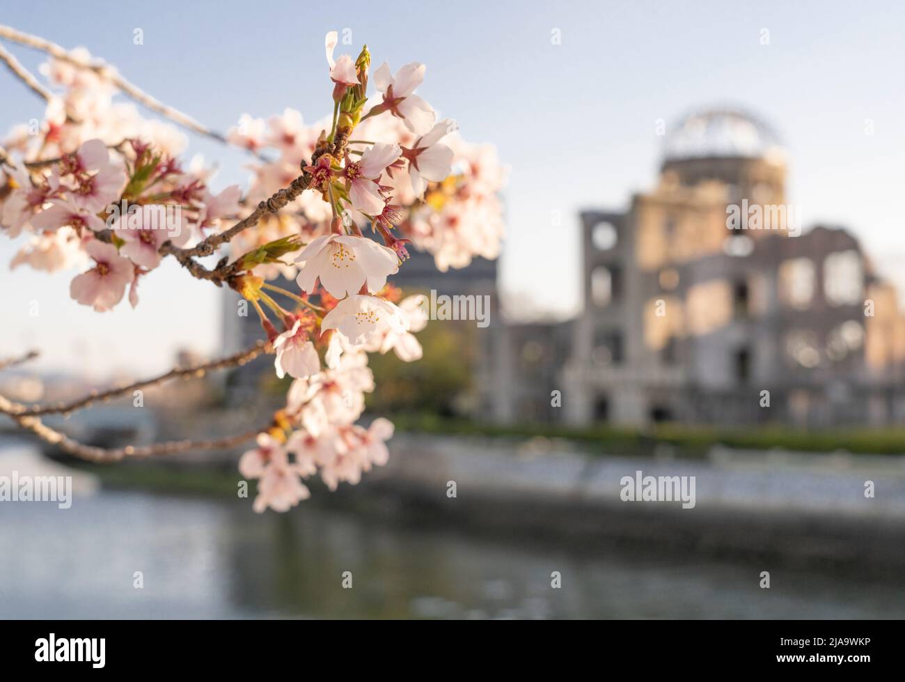 Motoyasu-gawa River, cherry blossom, and the Rest House of Peace ...