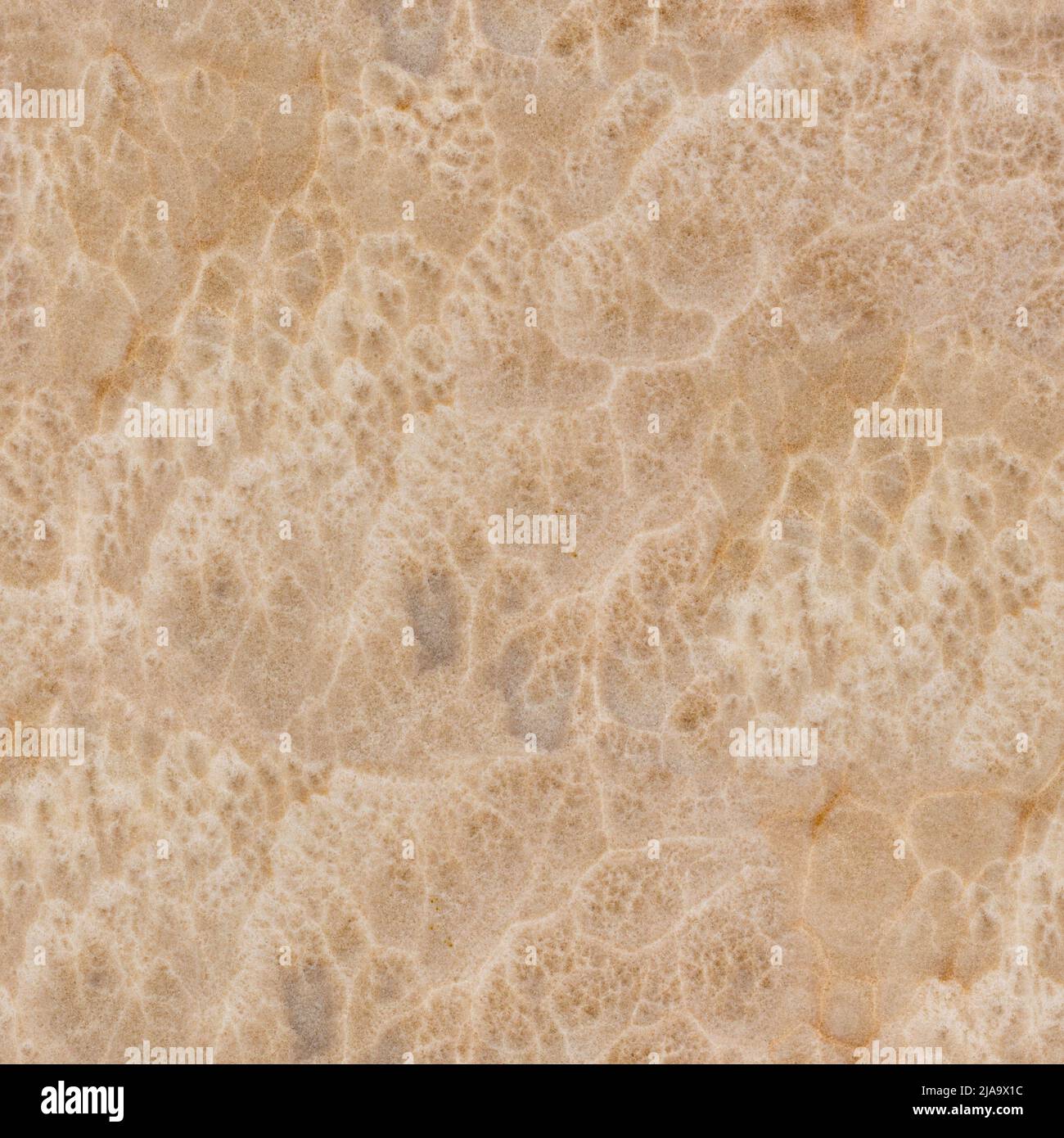 Light beige onyx texture. Seamless square background, tile ready Stock ...