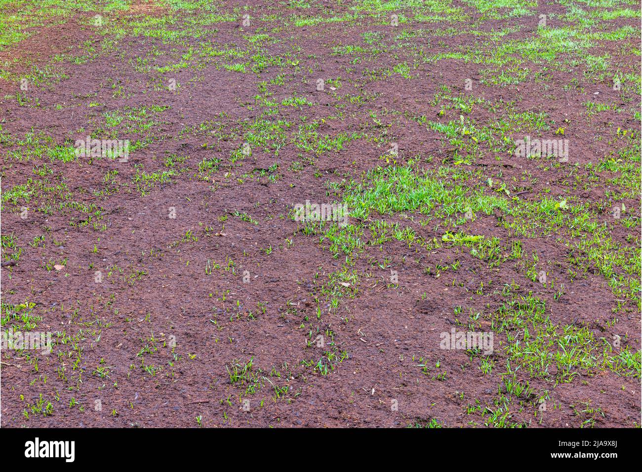 Landscape view of newly spread earth for lawn restoration work of ...