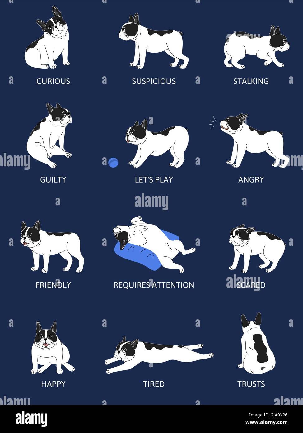 Dogs emotions body language set flat isolated vector illustration Stock ...
