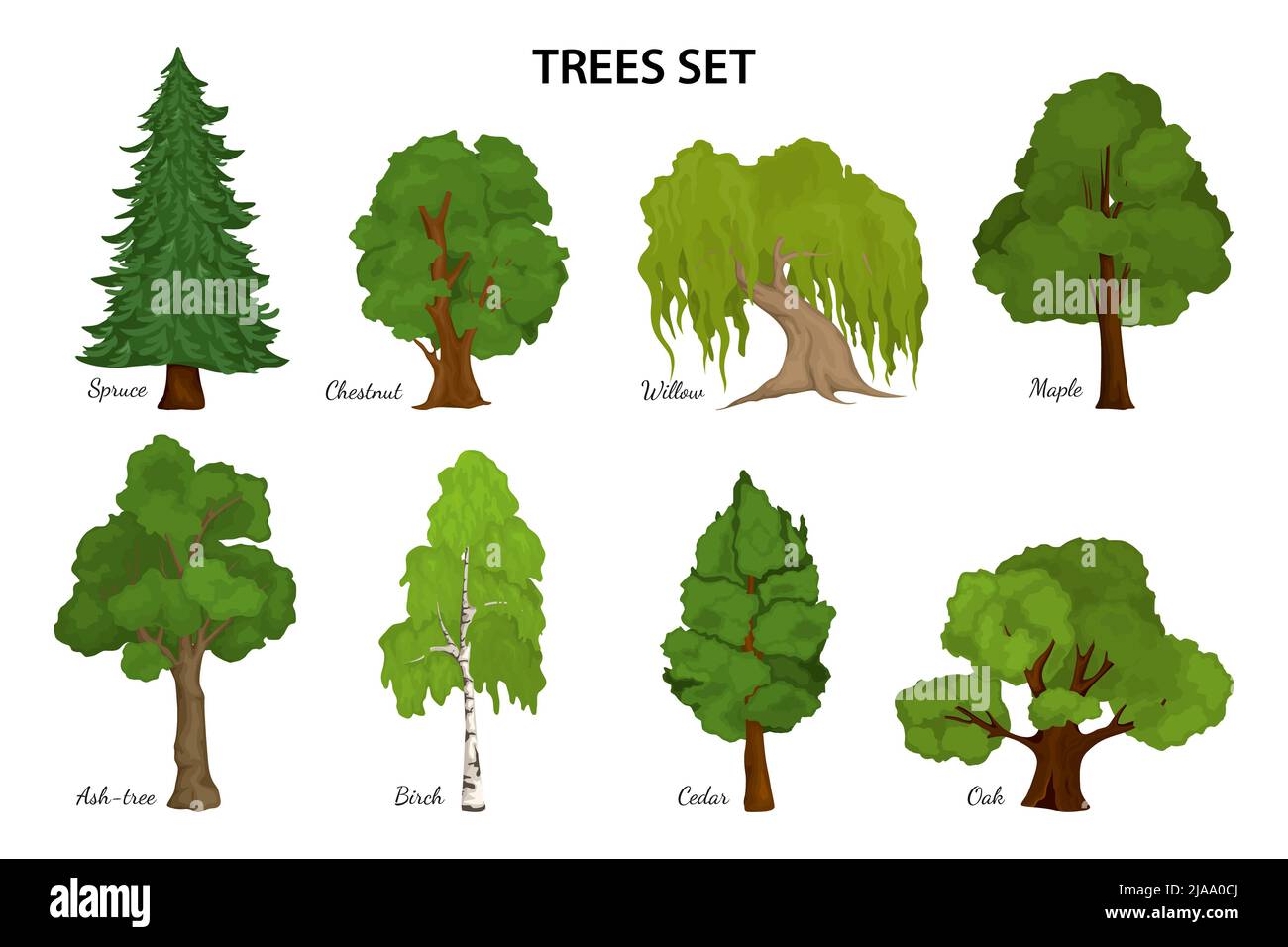 Tree diagram composition with set of isolated botanical species icons ...