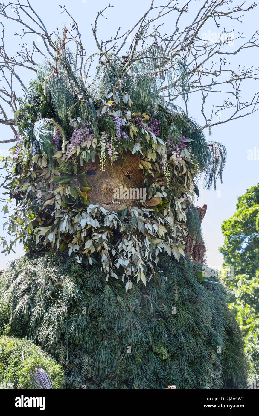 Close up of the head of the traditional Green Man constructed each year ...