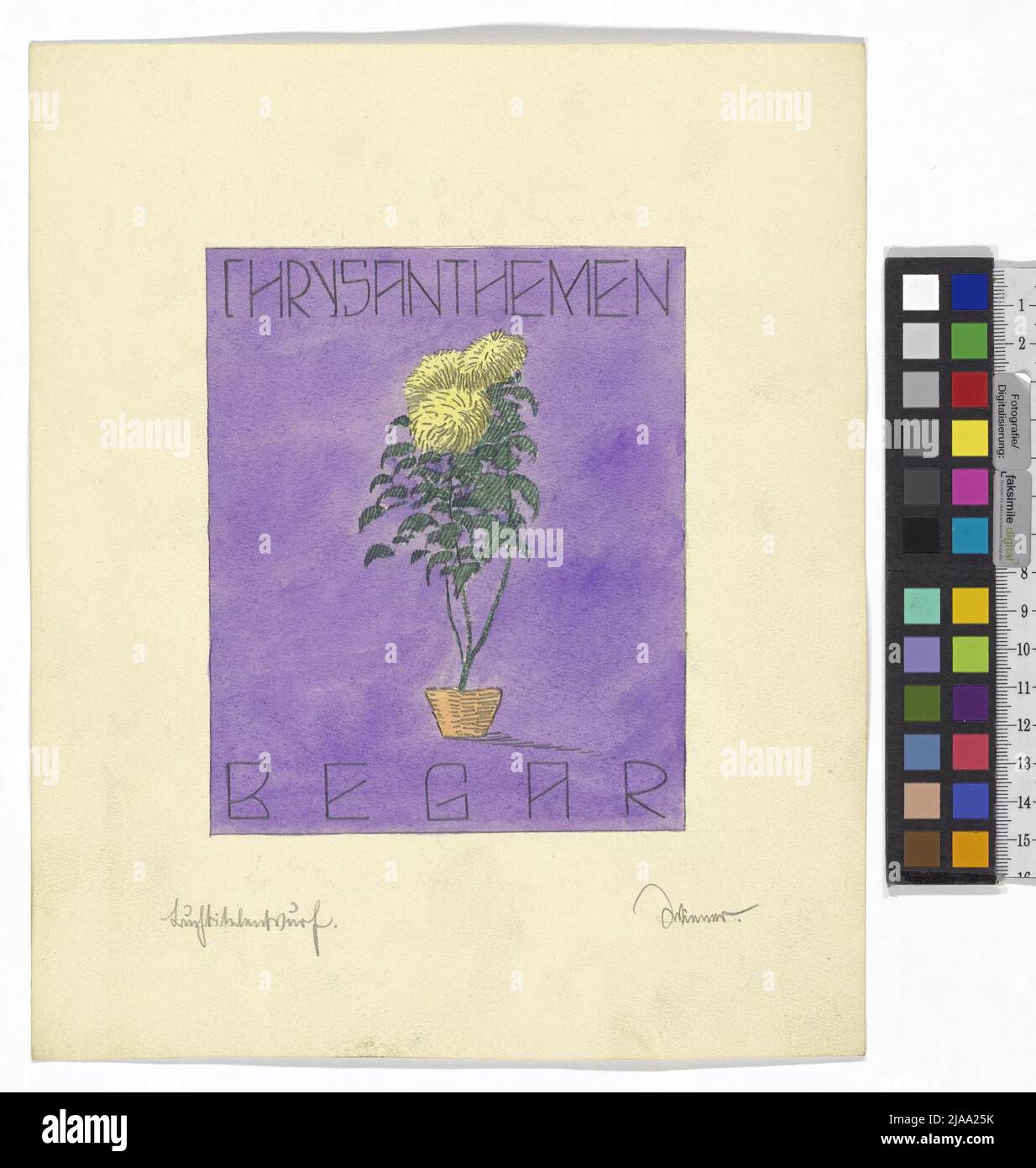 Design book title "Chrysanthemen/ Fargar". Karl Wiener (1901-1949 ...