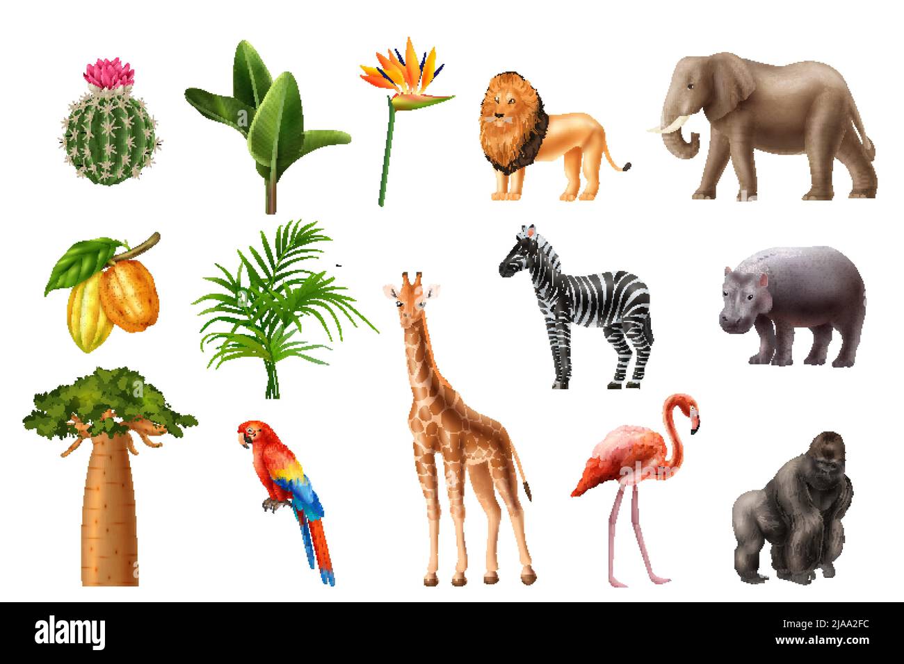 Realistic africa animals birds floral set of isolated icons with exotic ...