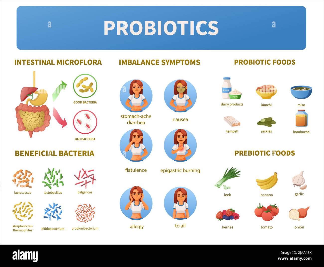 Probiotics infographics cartoon set with isolated intestinal microflora ...