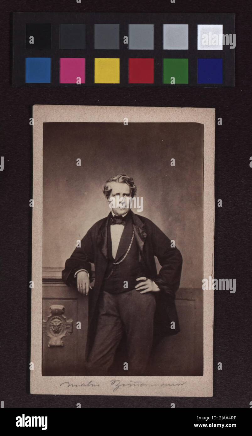 The painter Zimmermann. Franz Seraph Hanfstaengl (Hanfstängl) (1804 ...