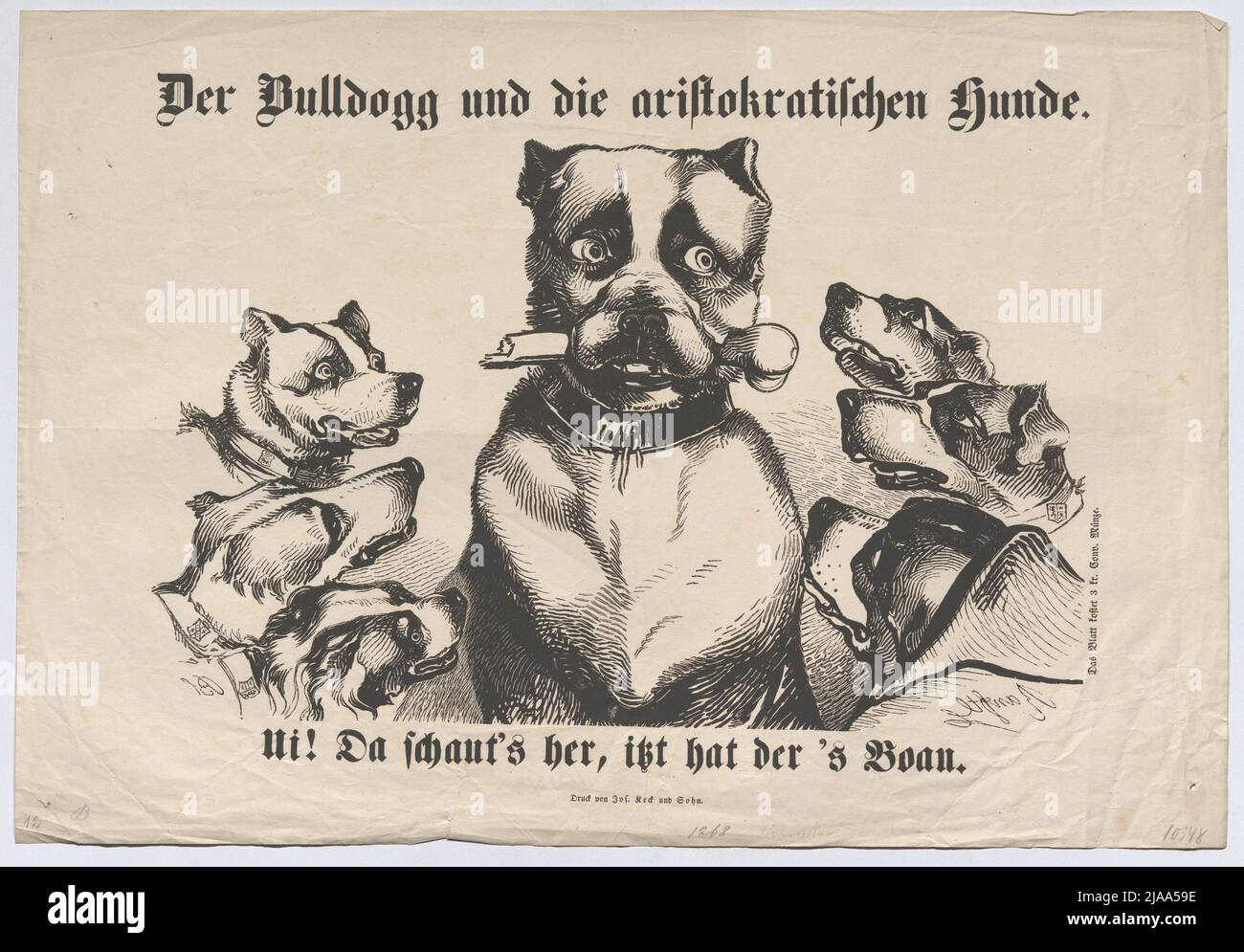 "The Bulldogg and the aristocratic dogs." (Caricature by Ranftl, 1848 ...
