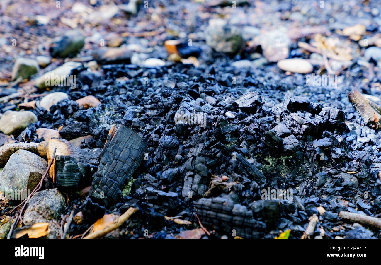 Extinguished campfire wood charcoal Stock Photo - Alamy