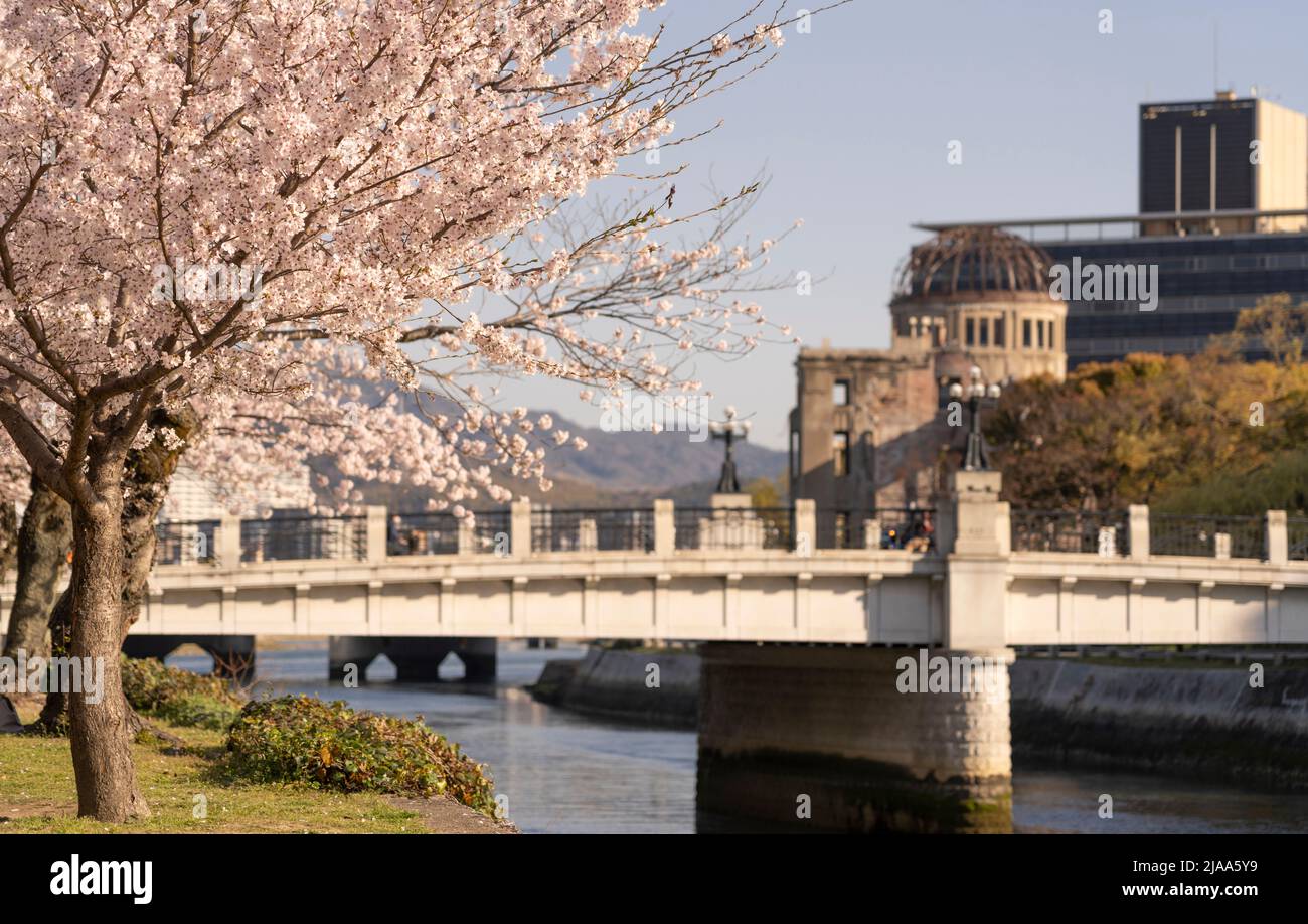 Motoyasu-gawa River, cherry blossom, Peace Memorial Park, Hiroshima ...