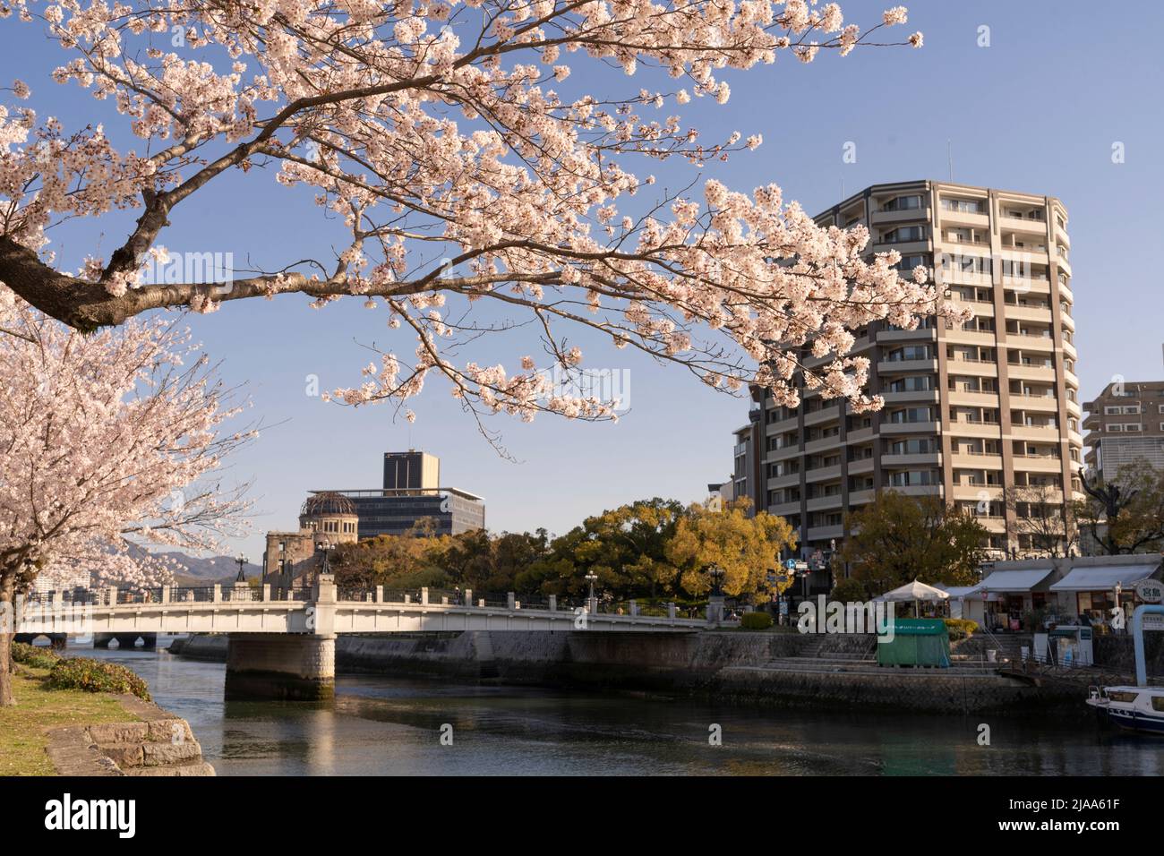 Motoyasu-gawa River, cherry blossom, Peace Memorial Park, Hiroshima ...