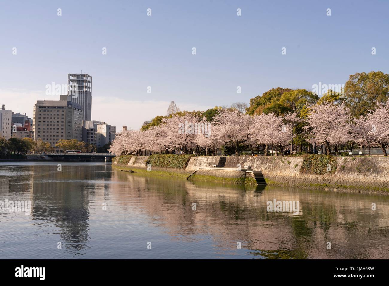 Motoyasu-gawa River, cherry blossom, Peace Memorial Park, Hiroshima ...
