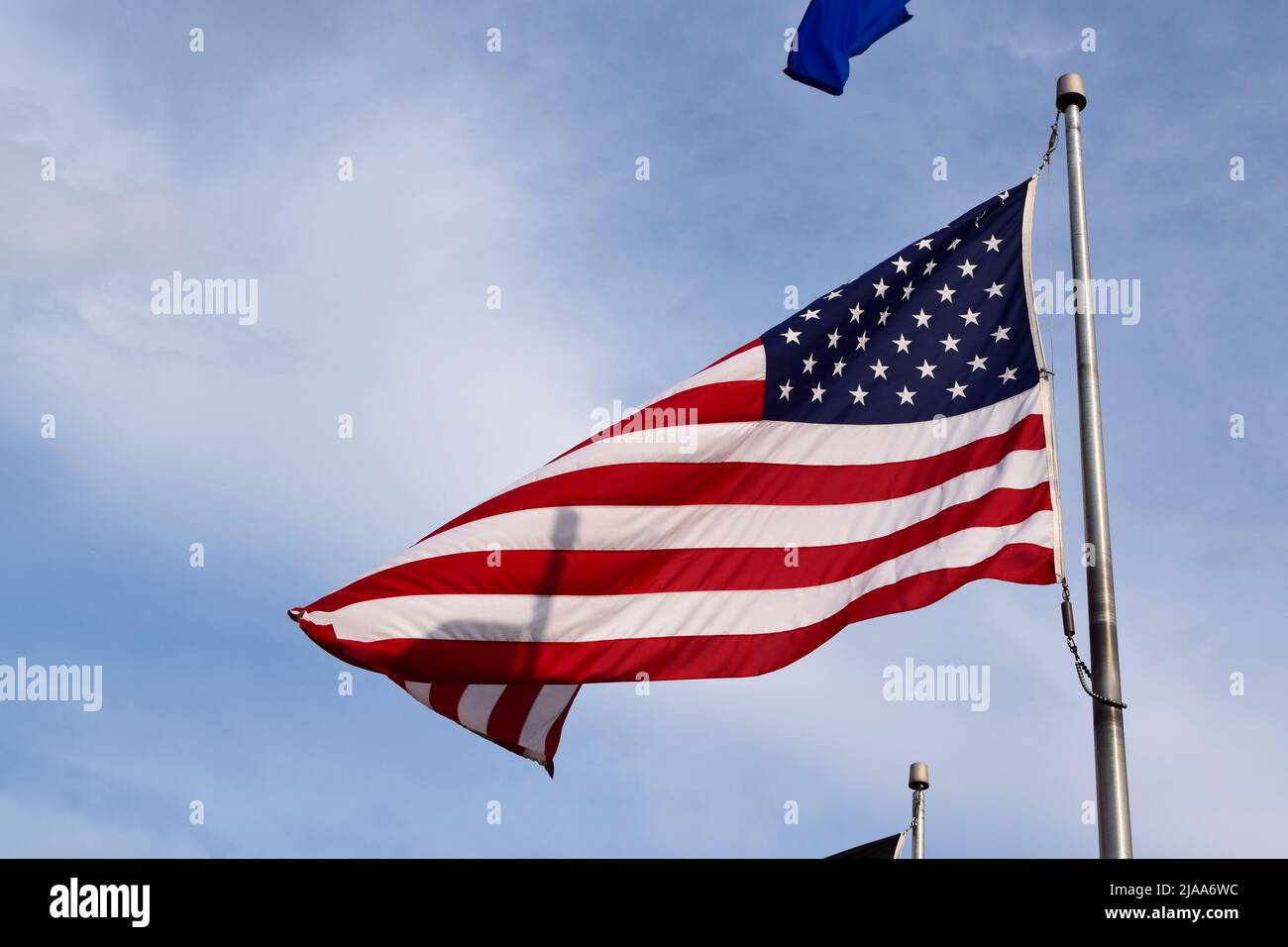 American Flag Flying In Breeze Amazon.com : United Socialist States Of