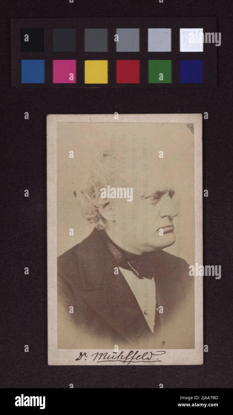 Eugen alexander megerle von muhlfeld hi-res stock photography and ...