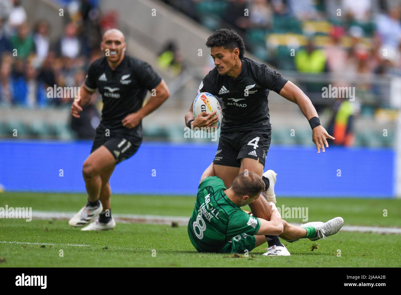 New zealand lennox hi-res stock photography and images - Alamy