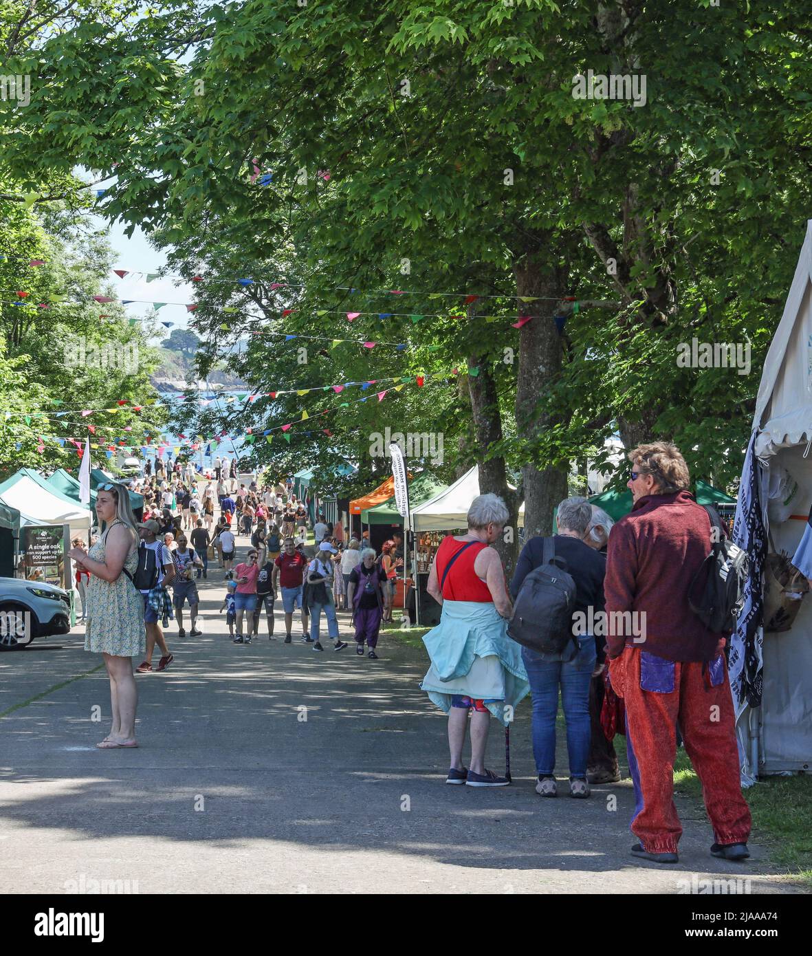 Green Man Festival held annually in May at Mount Edgcumbe Park ...
