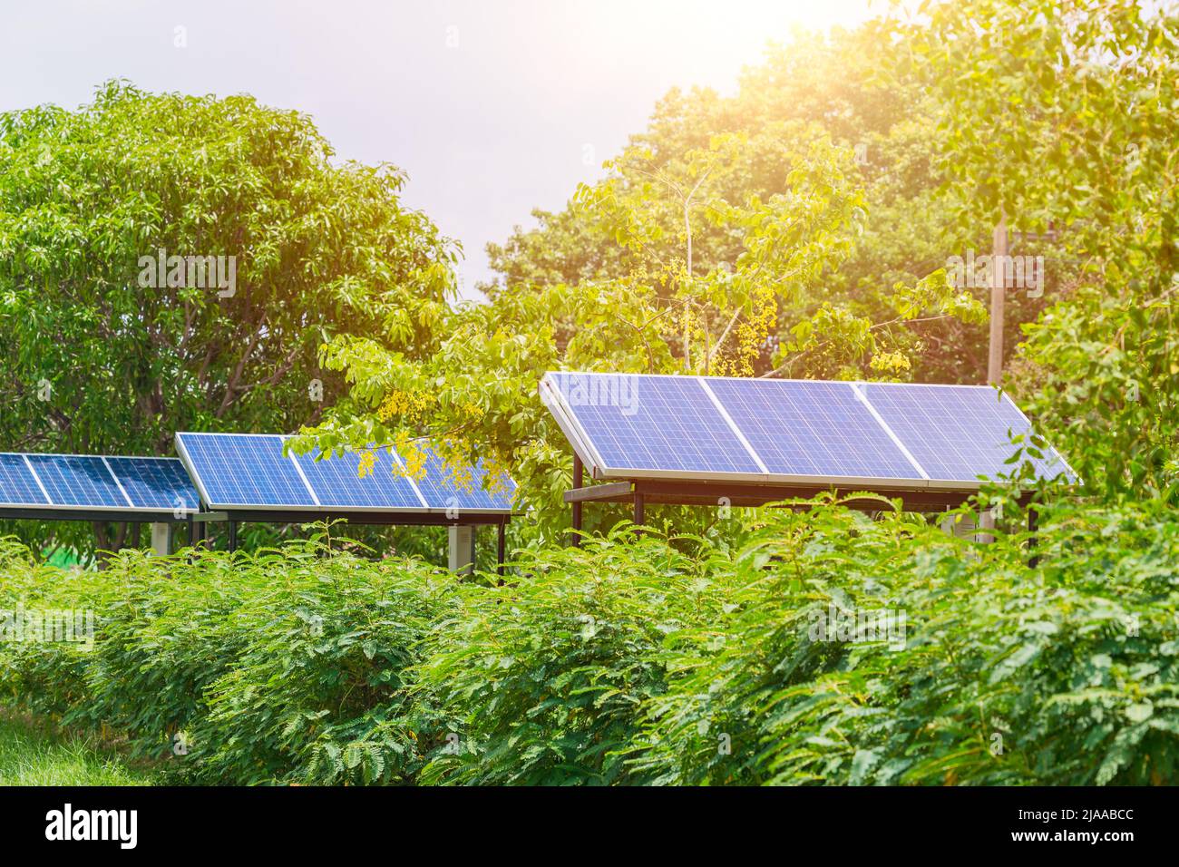 Solar panel tree hi-res stock photography and images - Alamy