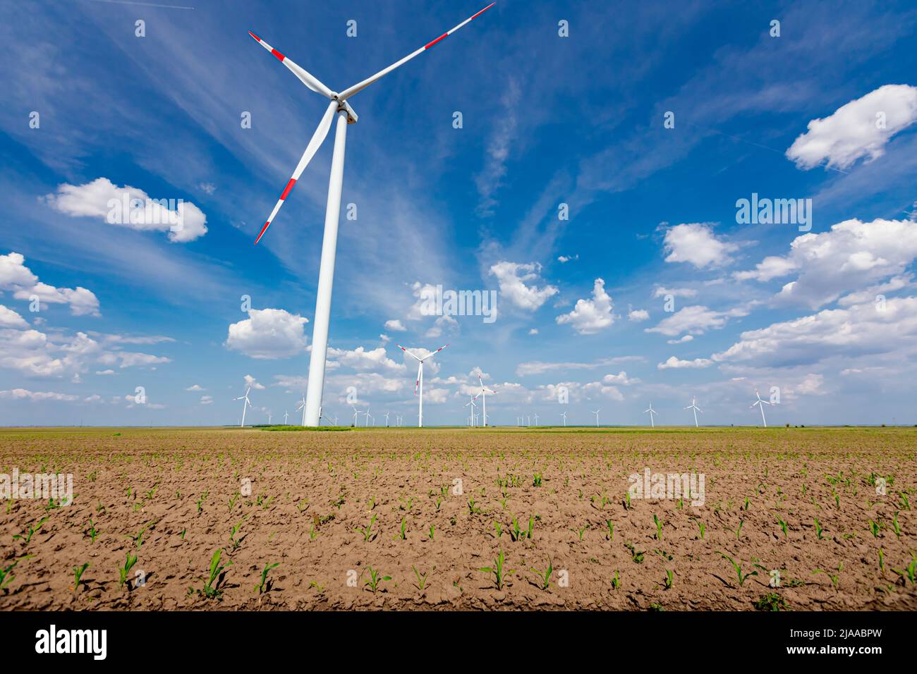 Farm of few large wind power turbines are standing among agricultural ...