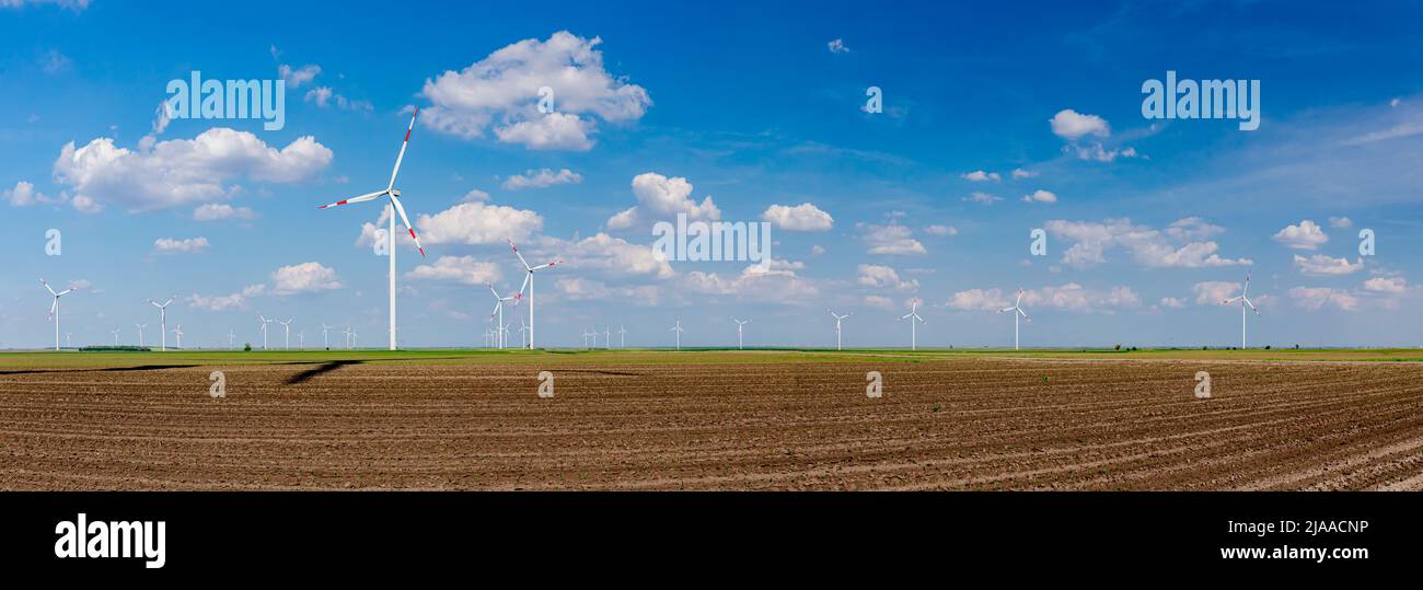 Panorama taken with wide lens, farm of few large wind power turbines ...