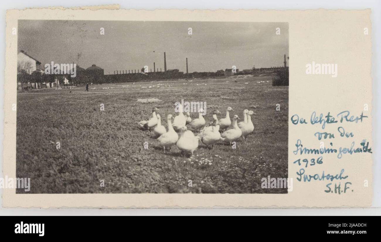 The last of the Simmeringer Haide ". Unknown Stock Photo - Alamy