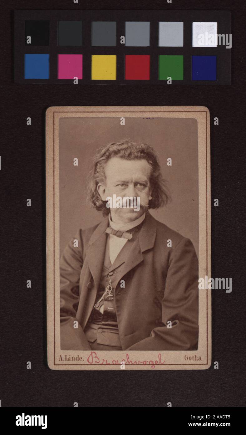 Albert Emil Brachvogel, poet. A. Linde, Photographer Stock Photo - Alamy