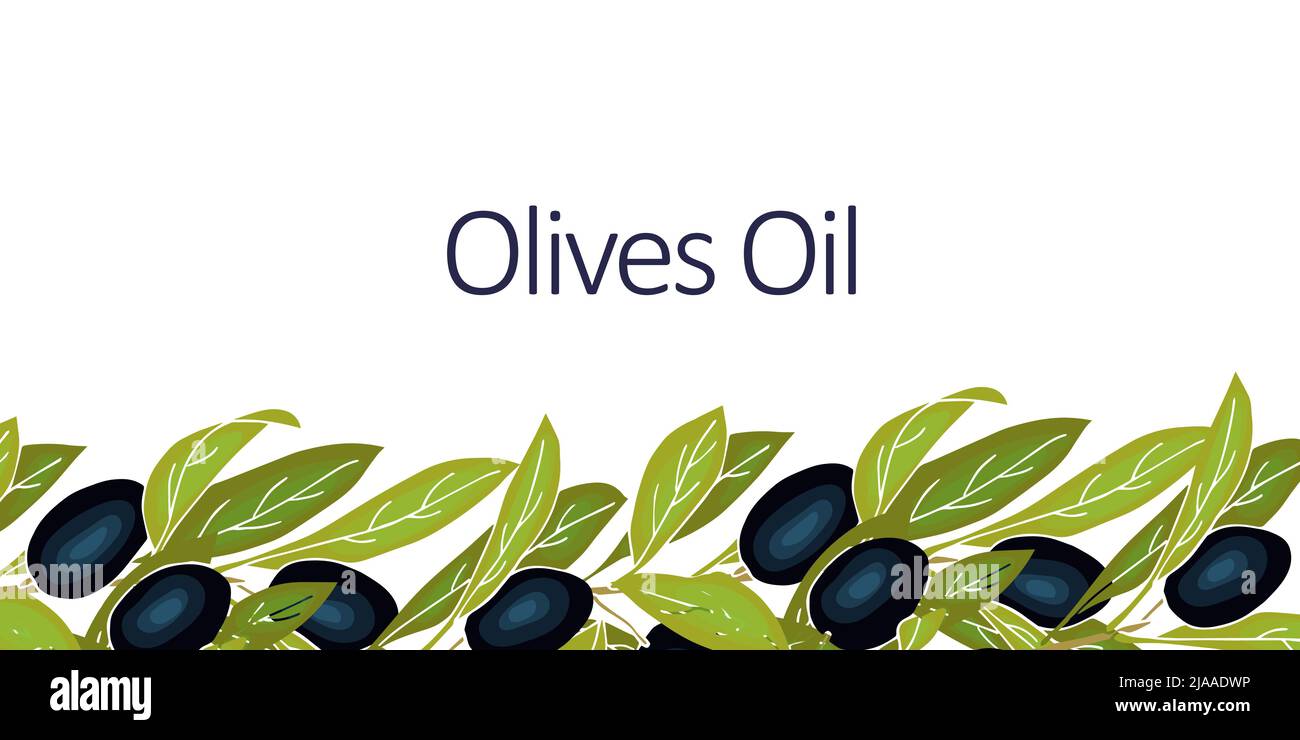 Olives banner background with ripe olive berries and place for text ...