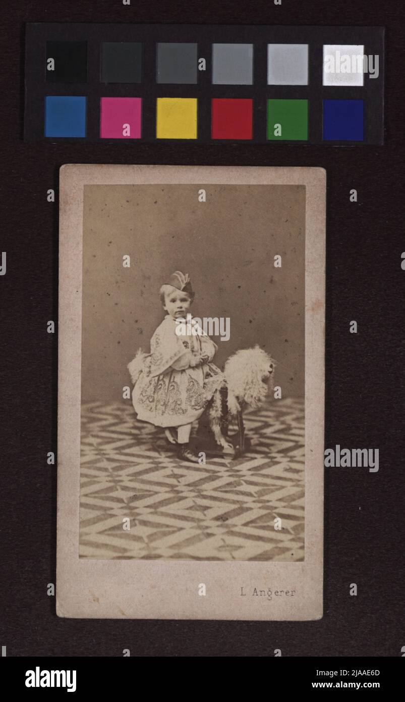 Crown Prince Rudolf. Ludwig Angerer (1827-1879), photographer Stock ...