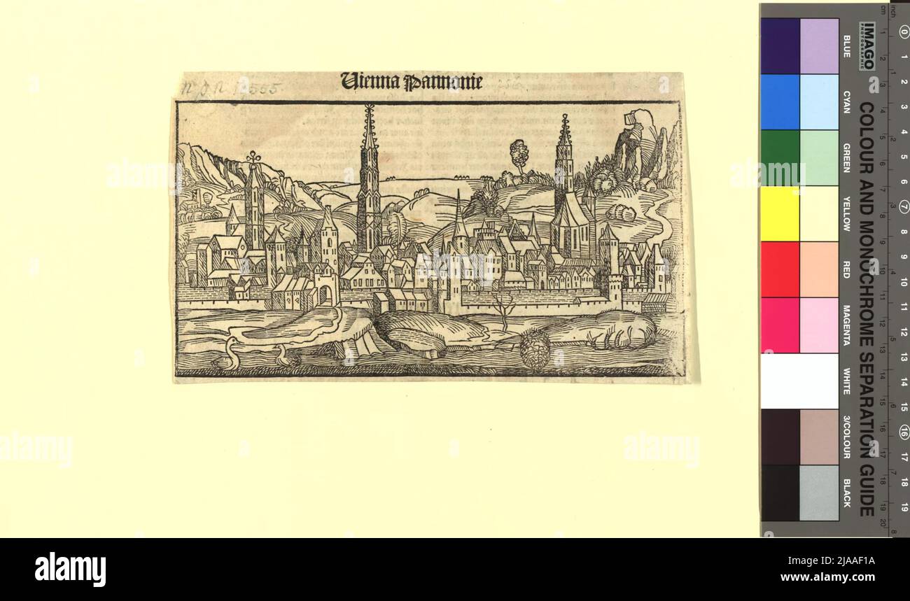 Vienna's view of the north ("Vienna, Pannonie"), from: Schedelsche ...