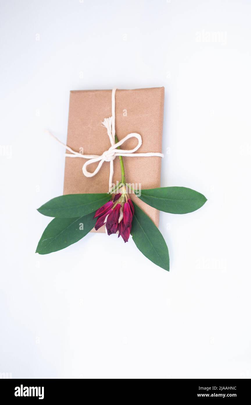 Gift box in craft packaging on a light white background with purple ...