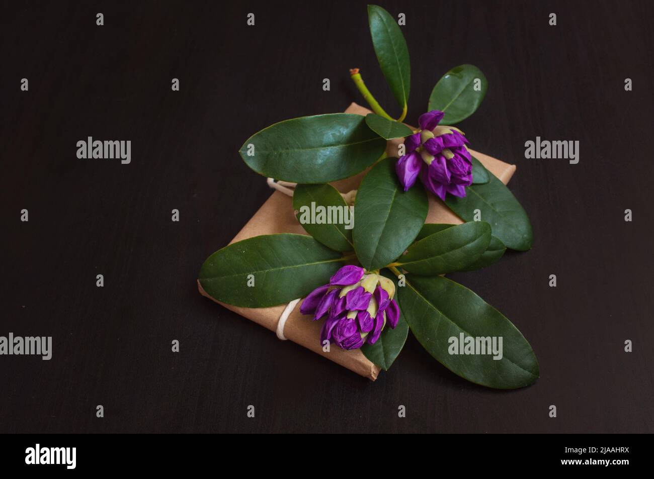 Purple azalea flowers with a gift in craft packaging on a wooden black ...