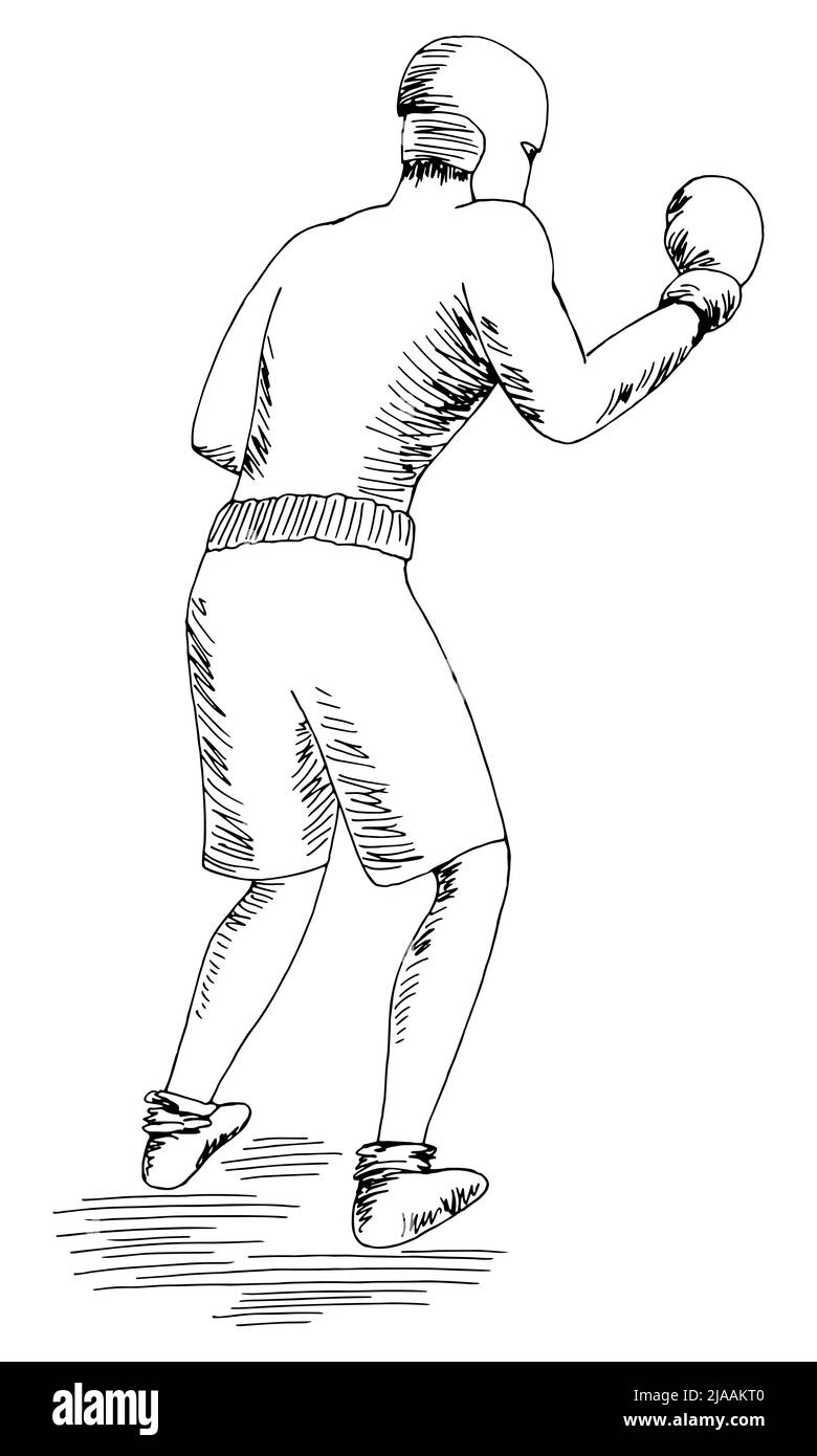 Boxer graphic black white isolated sketch illustration vector Stock ...