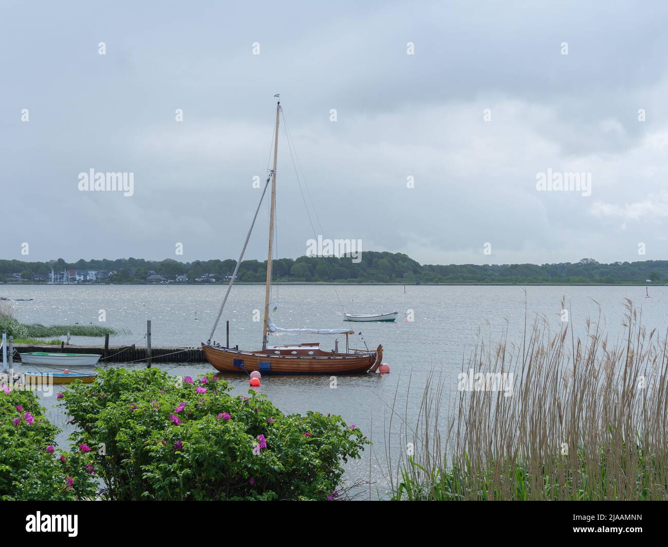 the city of Schleswig with the small fishing village Holm in germany ...