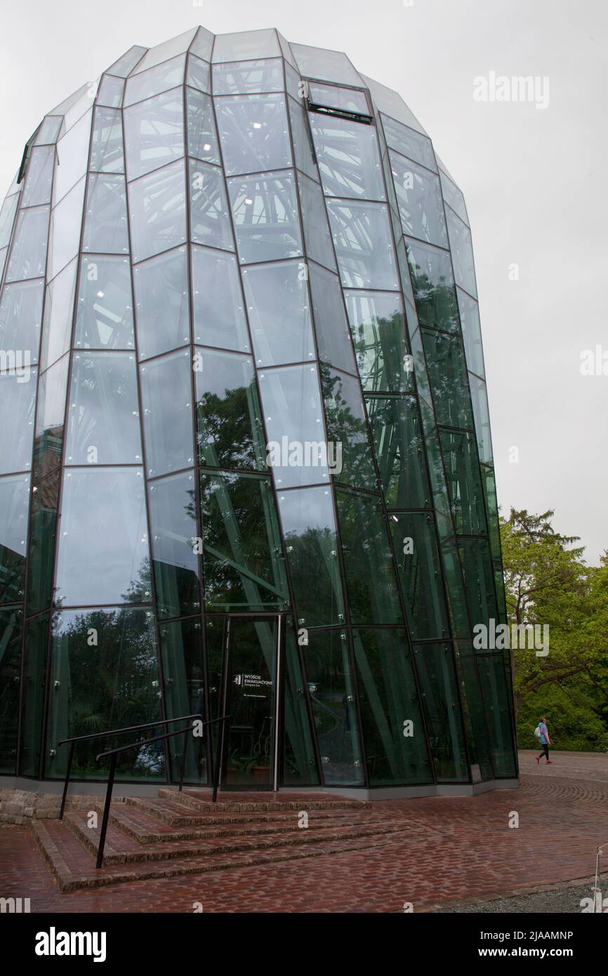 Palmiarnia parku oliwskiego hi-res stock photography and images - Alamy