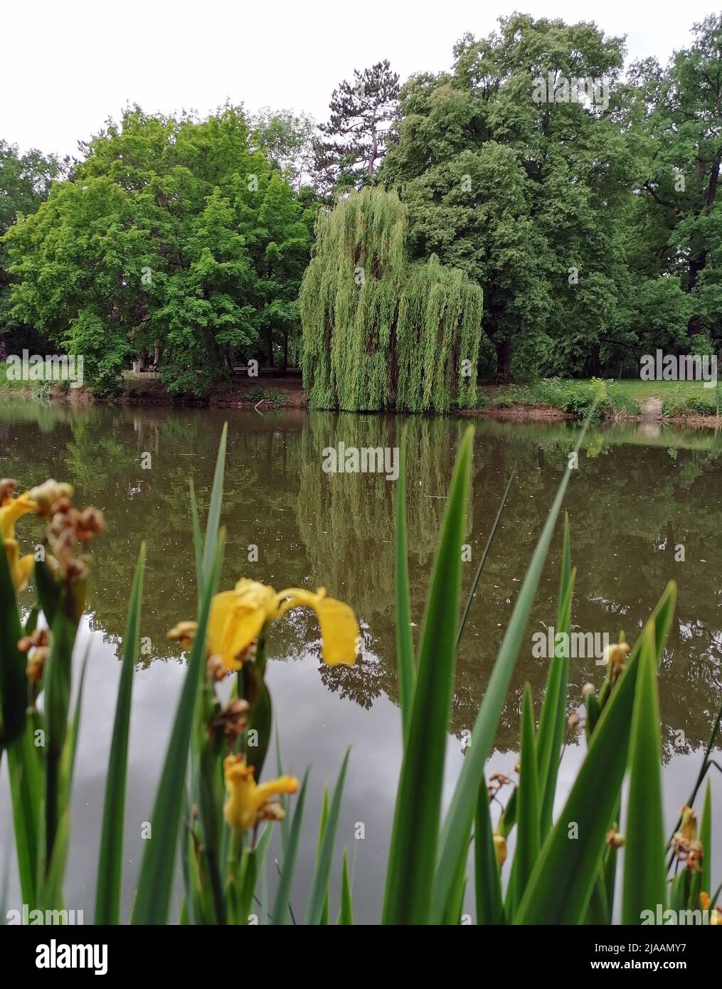 Leipziger Innenstadt und Westvorstadt, Palmengartenwehr und Clara ...