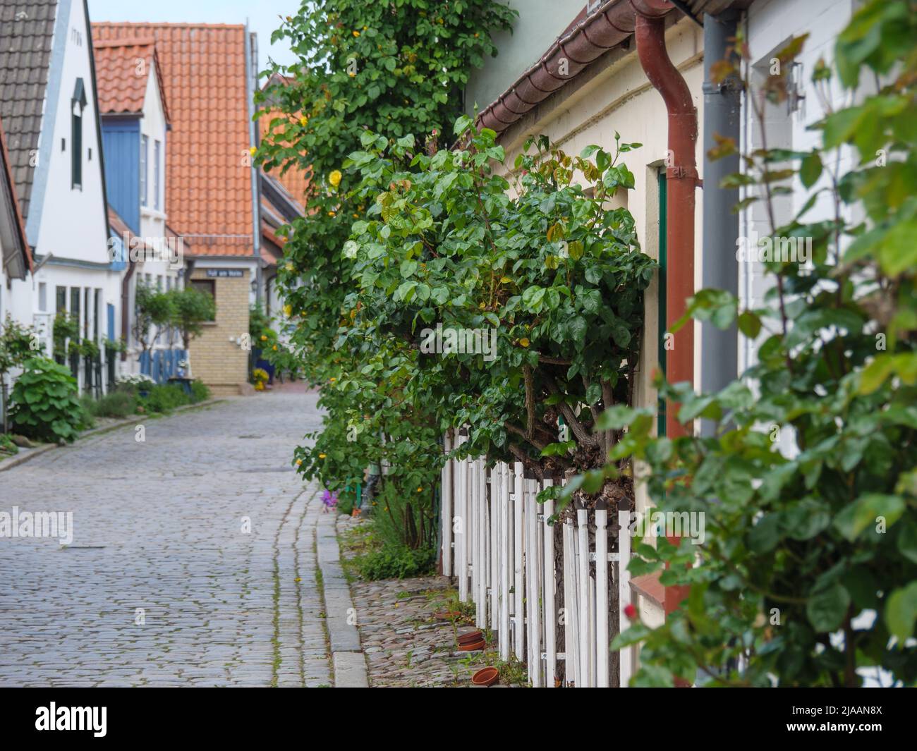 the city of Schleswig with the small fishing village Holm in germany ...