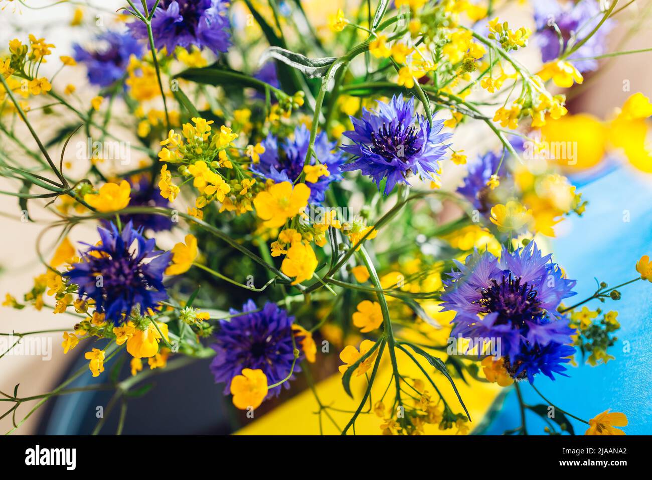 Close up of bouquet of blue and yellow flowers with ukrainian flag. No ...