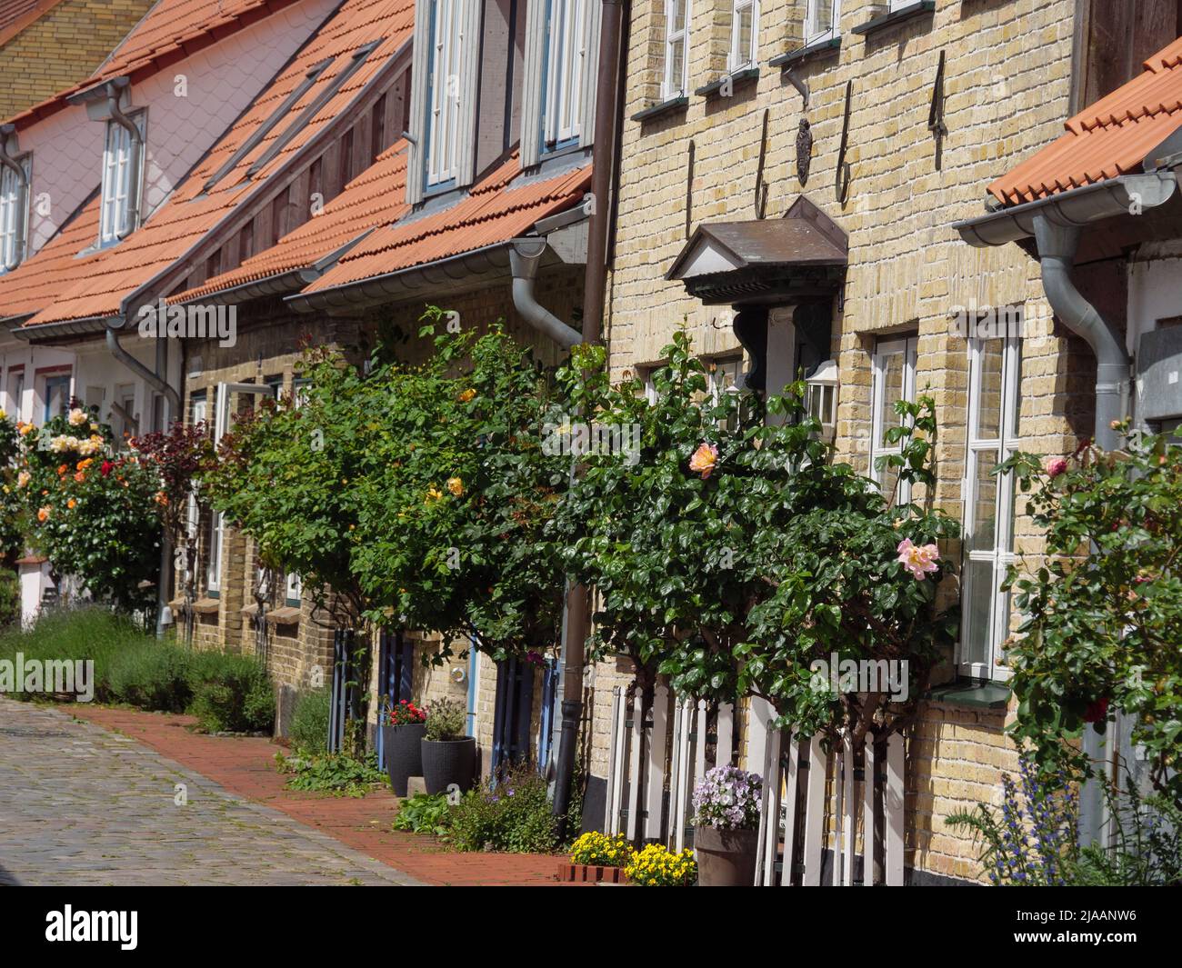 the city of Schleswig with the small fishing village Holm in germany ...