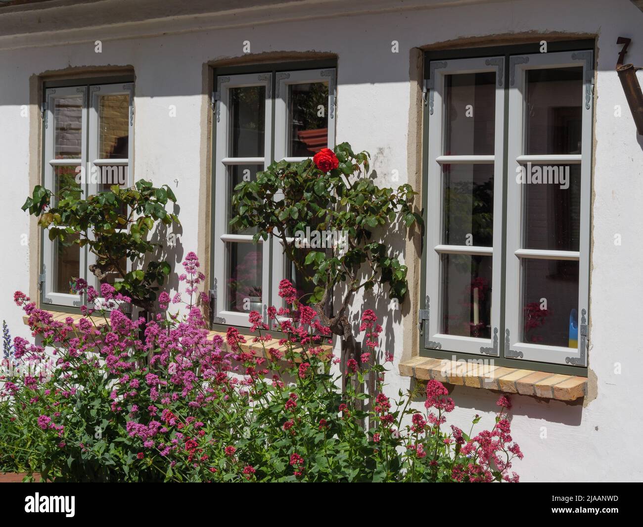 the city of Schleswig with the small fishing village Holm in germany ...